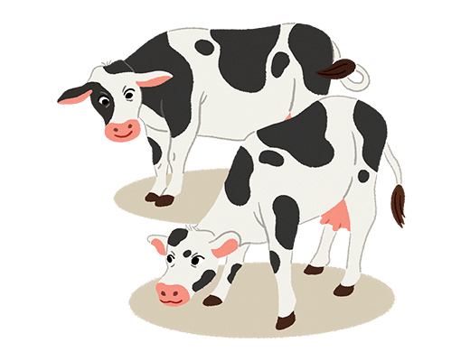 Smart English 1 - Interactive e-Book for Classroom